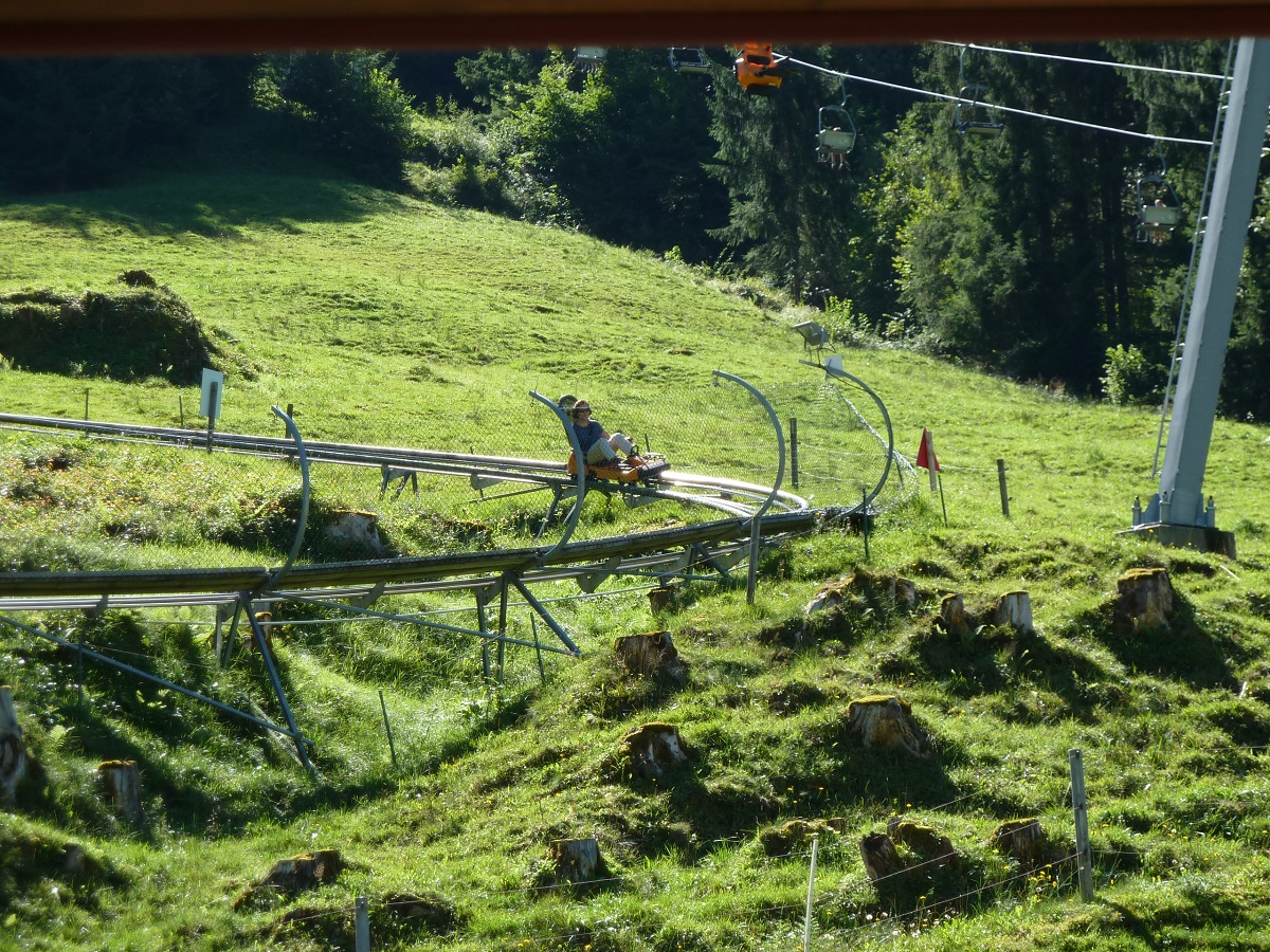 Längste Ganzjahresrodelbahn Deutschlands: der Alpsee Coaster